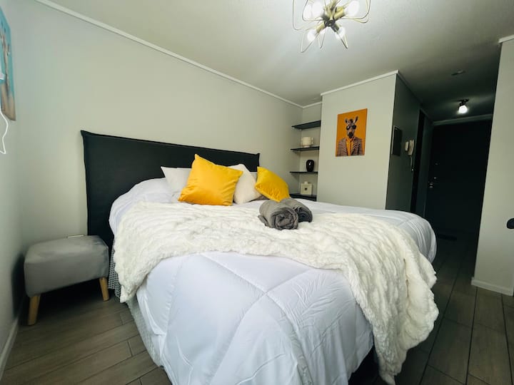 Estudio Con Cama King Cercano A Movistar Arena - Santiago, Chile