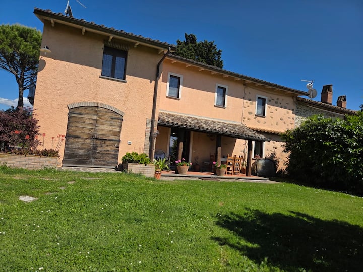 "Tra Gli Ulivi E Il Panorama" - Orvieto