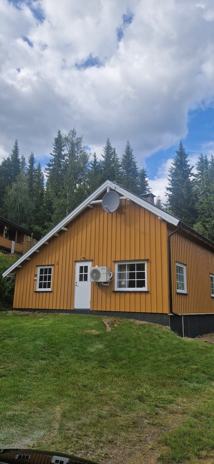 Hus/hytte I ÅMotsdal - Norwegia