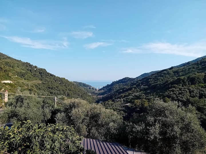 La Casetta Dei 4 Gatti - Vintimille