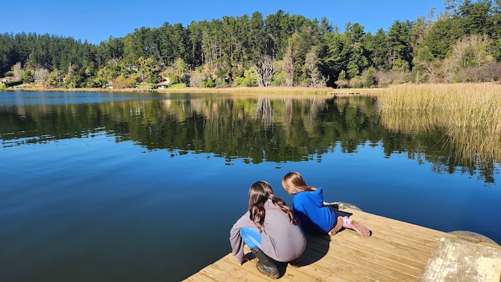Arbolodge Mágica Cabaña Verde Entre Lago Y Mar - Vichuquen