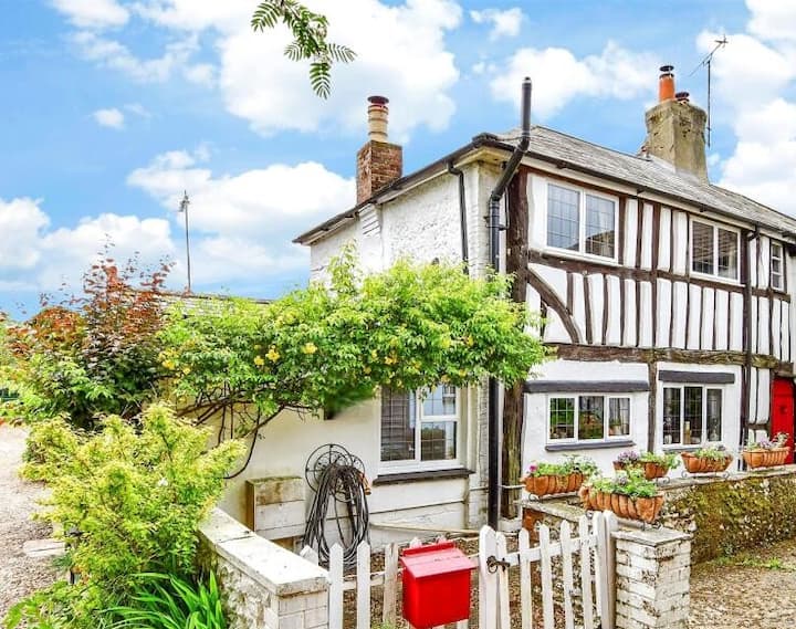 Charming 16th Century Cottage - Petersfield