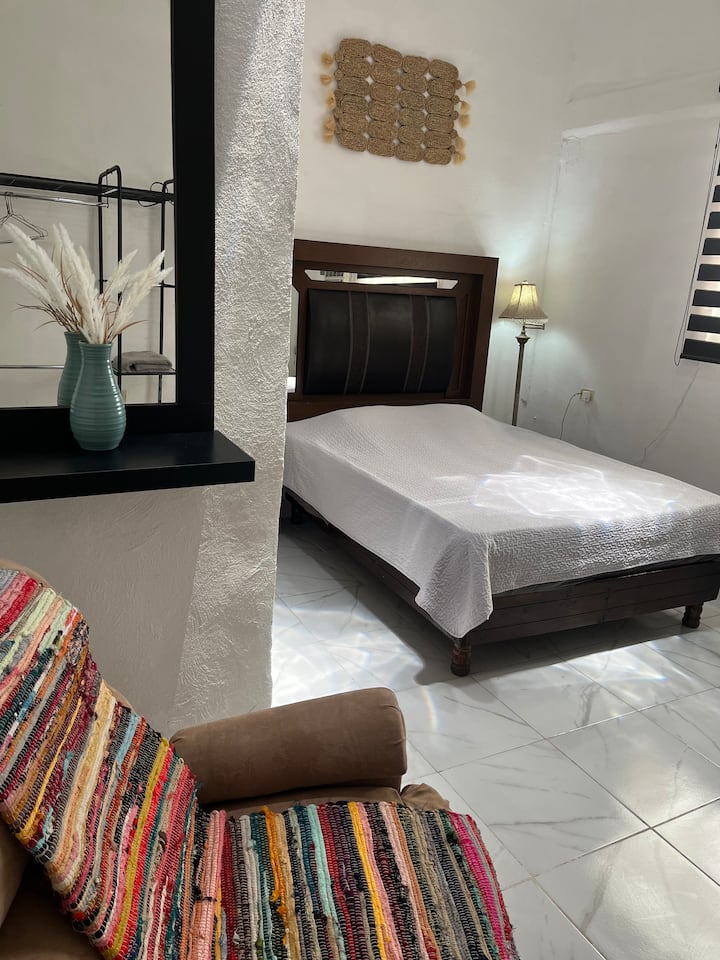 Aptloft/5min/central/aeropuerto/bodega/soriana/mas - Torreón