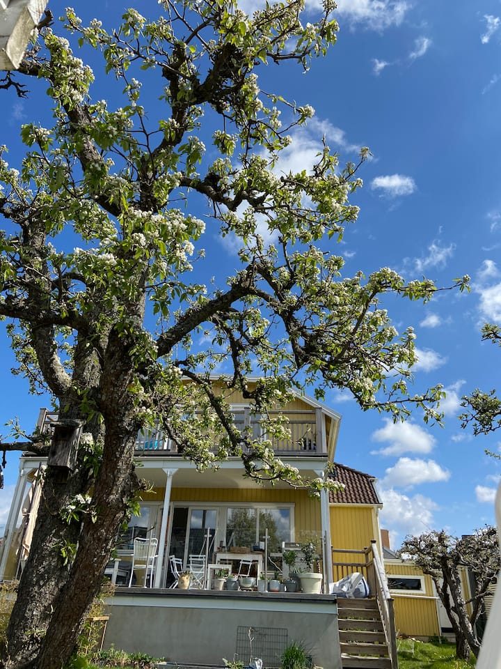 Boende Nära Elmia, Vätterstranden Och Centrum - Jönköping
