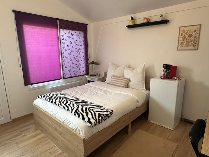 Chambre Indépendante Avec Douche & Wc Privés - Saint-Sébastien-sur-Loire