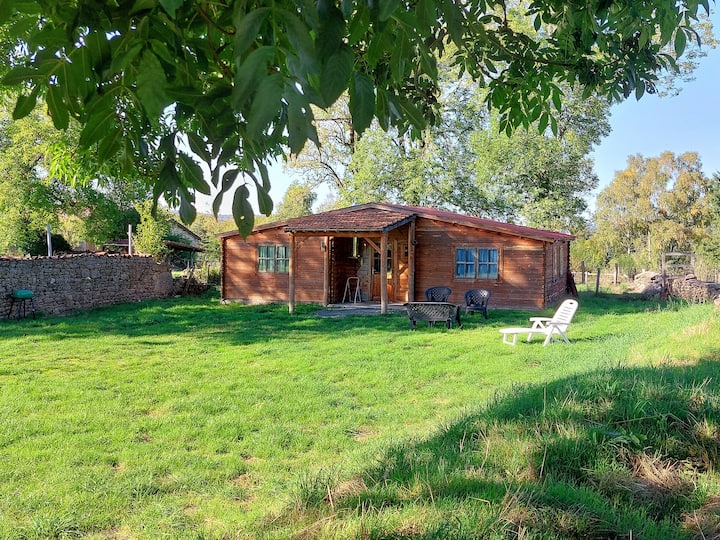 Pause Nature Au Cœur Des Forêts - La Chaise-Dieu