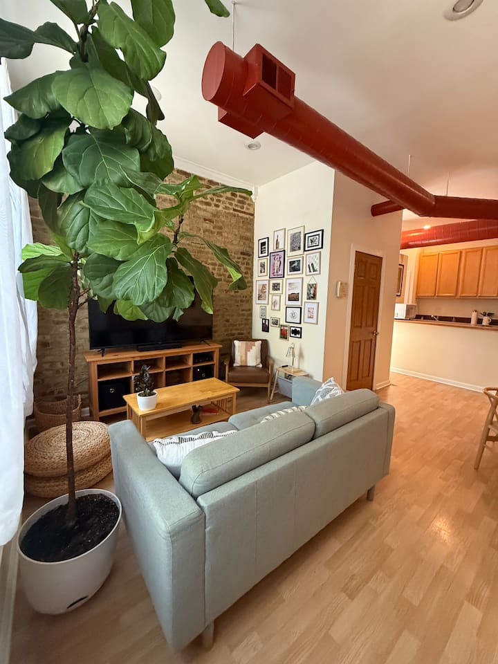 Great Place In The Heart Of Pilsen - Chicago, IL