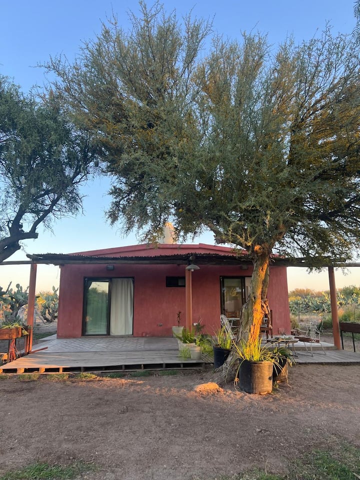 Cabañas De Campo El Encuentro. Villa Quilino - Santiago del Estero