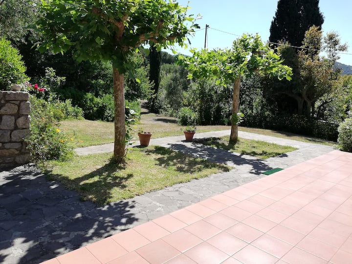 Antica Colonica Nel Verde - Portoferraio