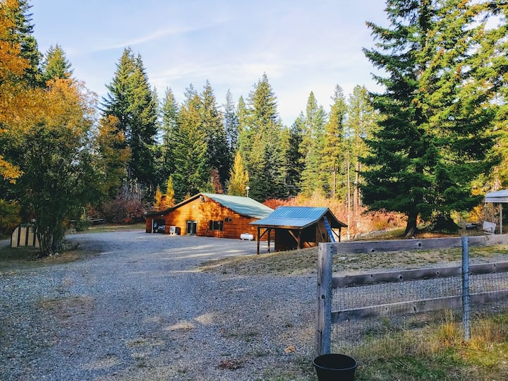 Cabin On 3 Acres, 2 Blocks To Lake *Pet-friendly* - Roslyn, WA