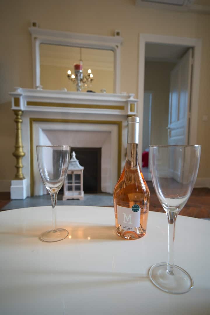 Prestige Apartment Central - Nice