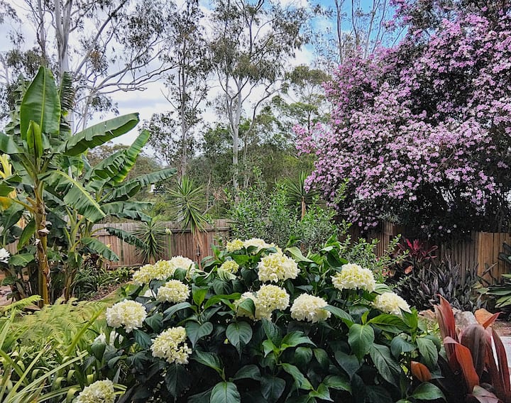 Bunya - Private 4 Bedroom 2 Bathroom House - Maleny