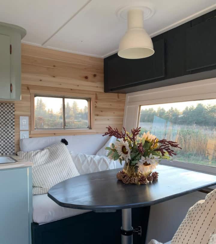 Glamping & Mini Horses 
"Sleep In Toybox Trailer" - Los Lunas, NM