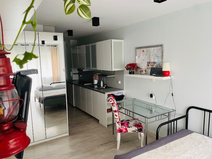 Serafitek Apartamenty - Cozy Flat - Poznań