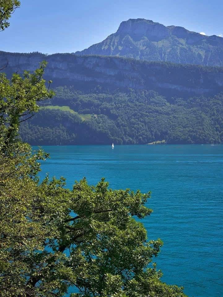 Honeymoon Apartment For You. - Luzern