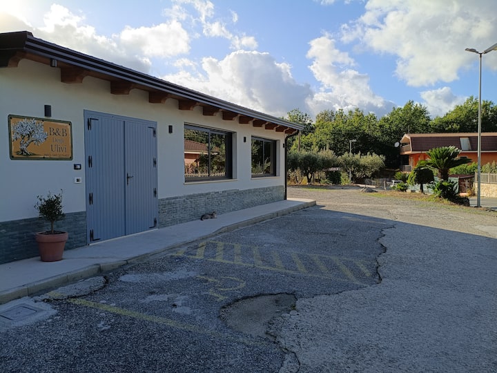 B&b Degli Ulivi - Falerna