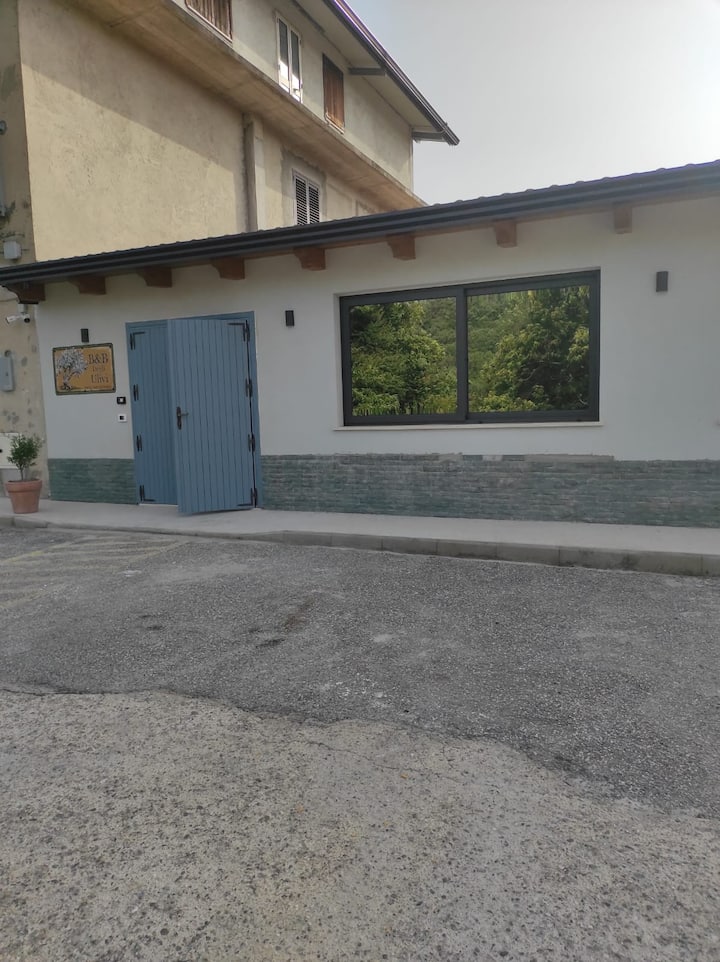 B&b Degli Ulivi - Belsito