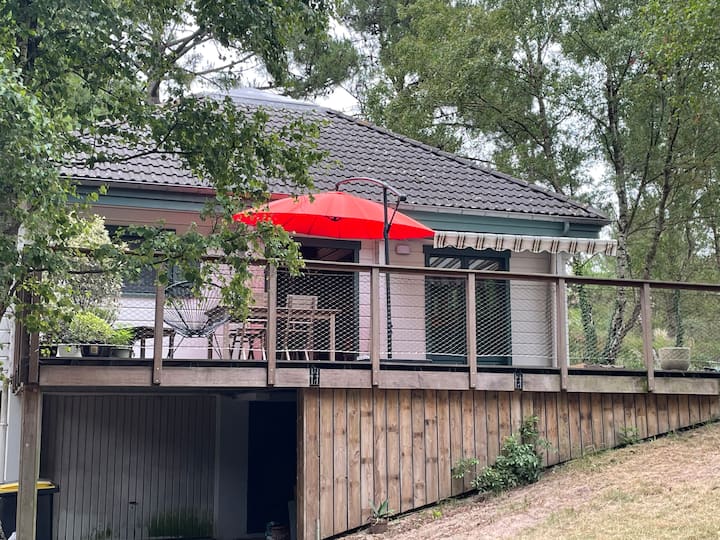 Everwood Côte D’ Opale - Stella Plage