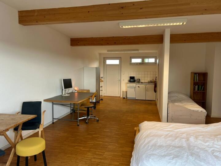 Großes Offenes Appartment - Darmstadt