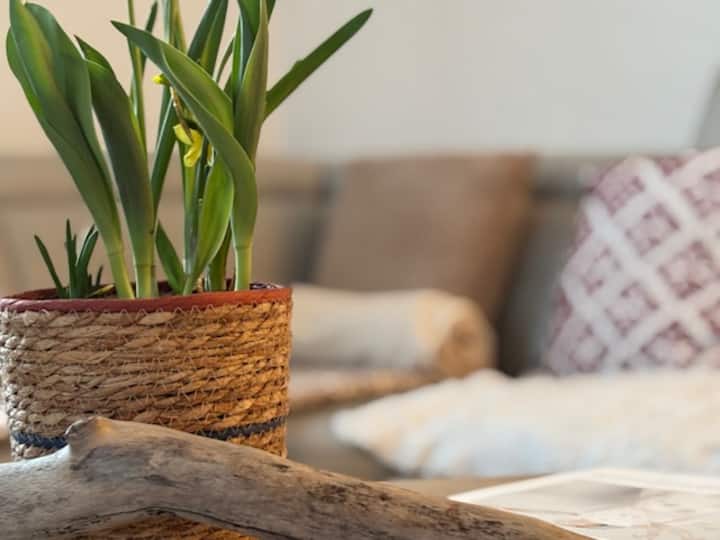 Stein & Wort – Ein Ort An Dem Kultur Natur Berührt - Steinen