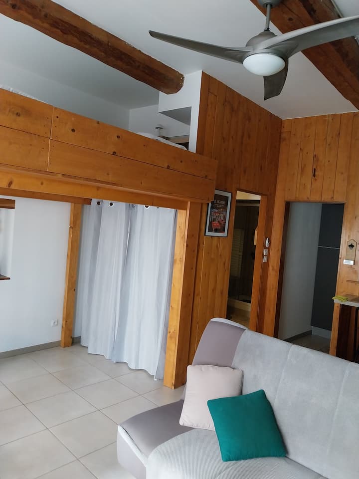 Studio Avec Mezzanine - Latour-de-France