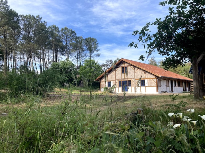Barrail – Maison Landaise Entre Forêt Et Océan - Seignosse