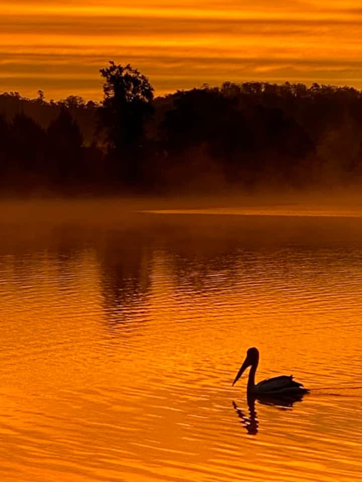 Country Classic! - Taree