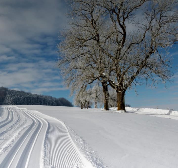 Ankommen – Durchatmen – Aufleben - Laichingen