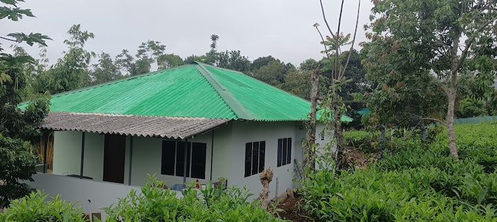 Misty Tea Garden Escape Inidukki - Idukki