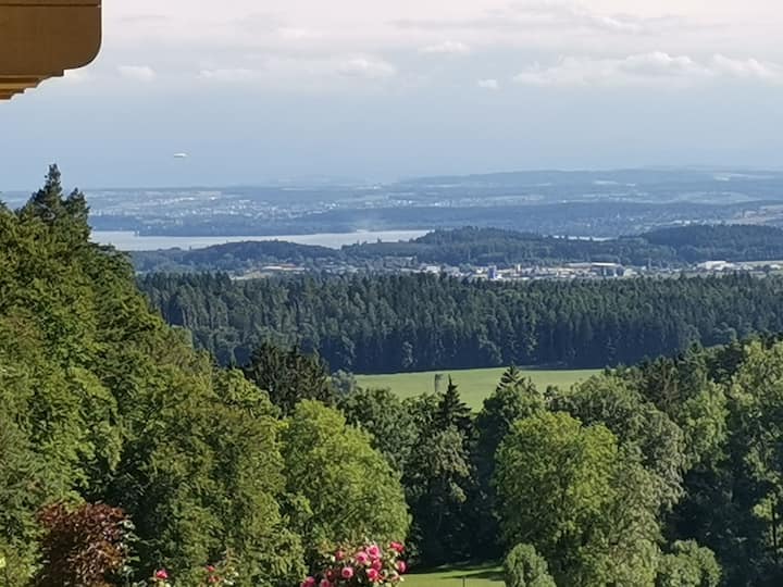 Botanica Traumhafte Unterkunft - Heiligenberg