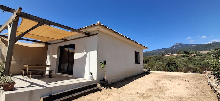 Un Petit Nid Au Milieu Du Maquis - Figari