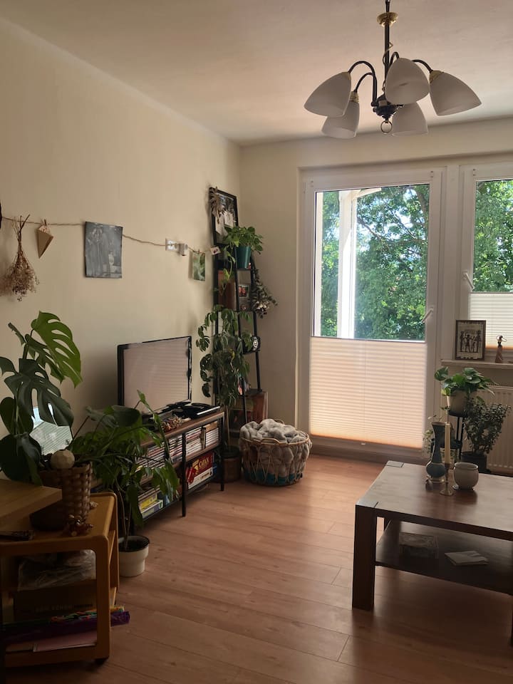 Zimmer In Gemütlicher 3-raum Wohnung - Jena