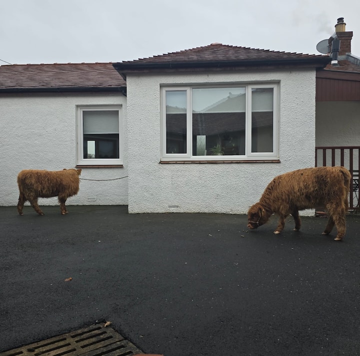 Welcome To Moogal Holiday Cottage - Free Parking - 