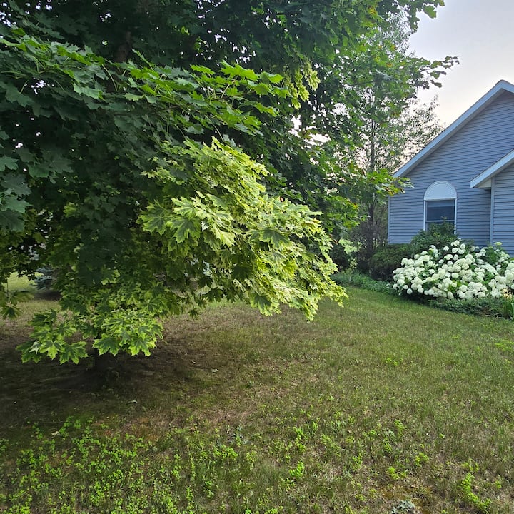 Spacious Family-friendly Home - 4br/2ba - Mitchell State Park, Cadillac