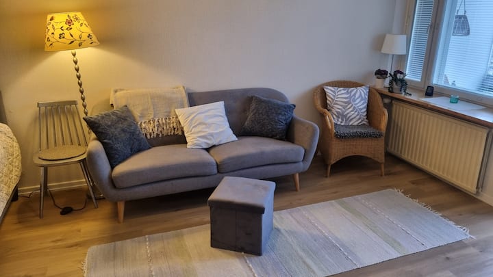 Viihtyisä Yksiö Keskustassa - Kuhmo