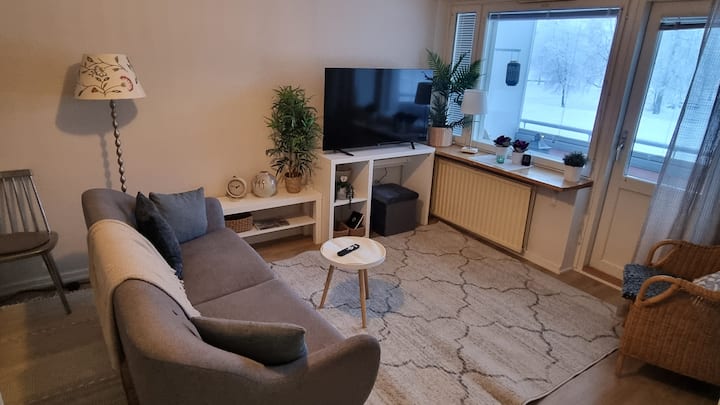 Viihtyisä Yksiö Keskustassa - Kuhmo