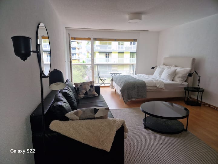 New: 11/2 Studio For 4 Pers (N6) - Zürich