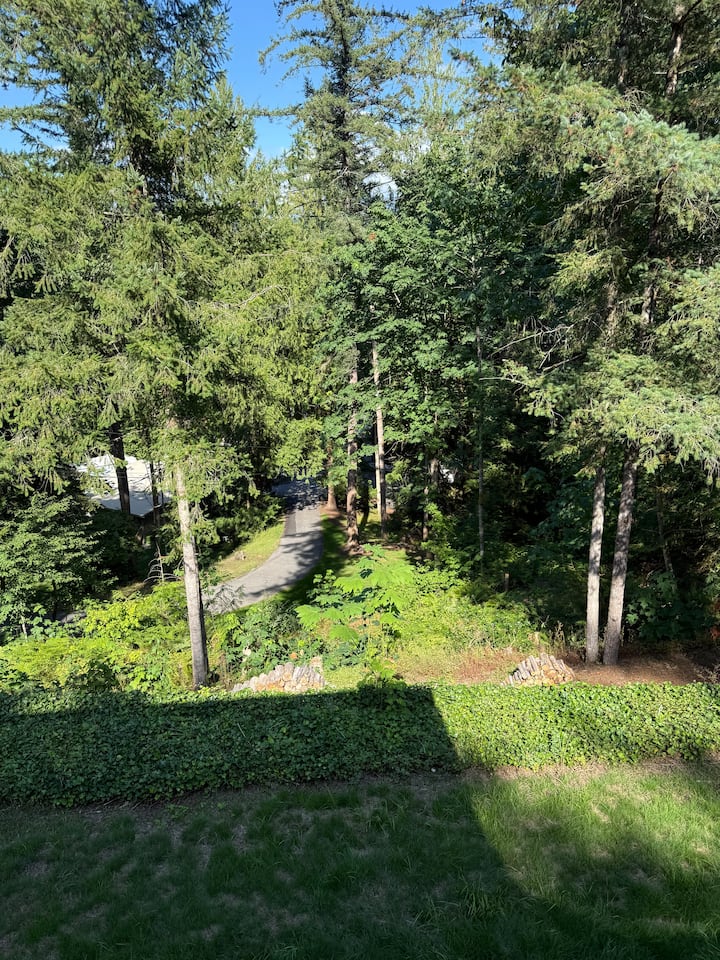 Aspen, At The Cedars - Cultus Lake