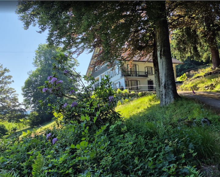 Maison De Charme Gérardmer - Vue Lac - Vogesen
