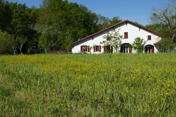 Ondas Eco-gîtes - Pays basque français