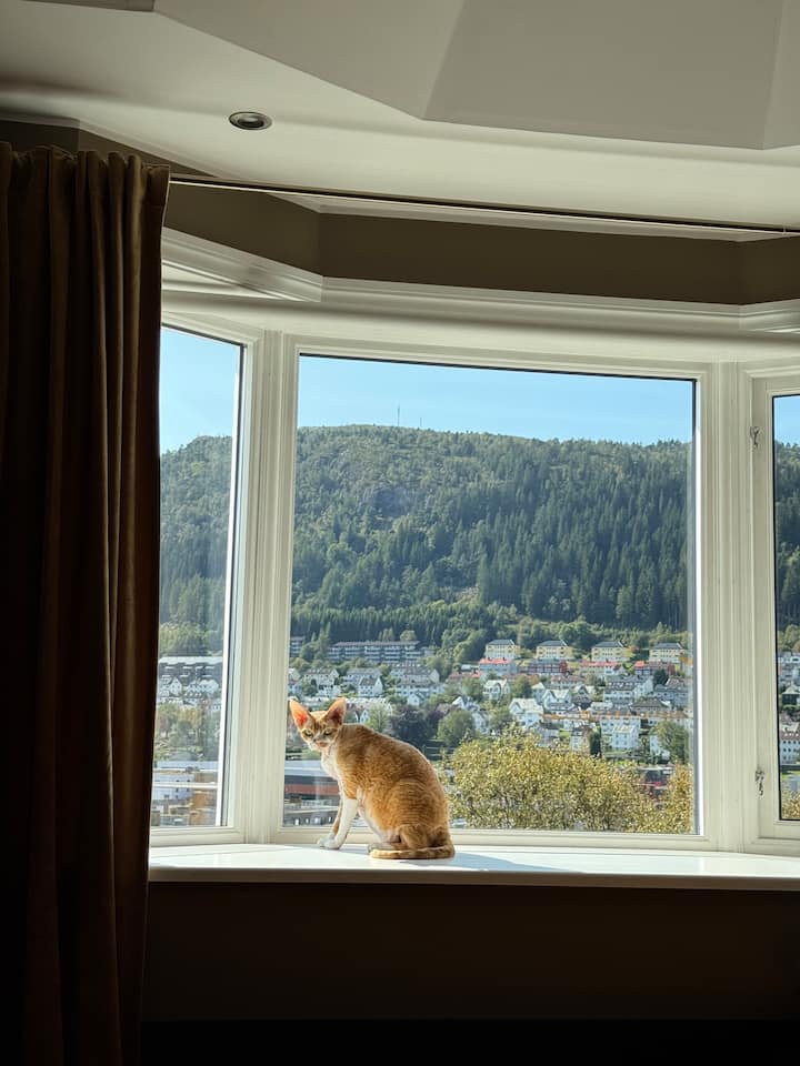 Large Apartment In Bergen With Panorama View - Bergen