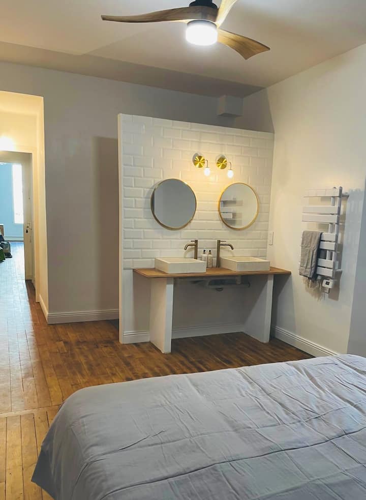 Appartement/atelier D’artiste 130 M², Reims Centre - Reims