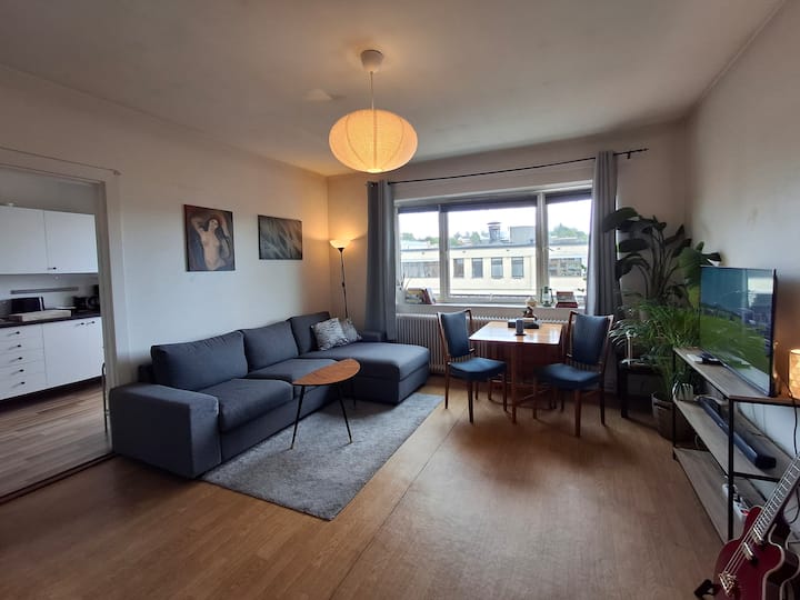 Luftig Leilighet Sentralt På Cb - Oslo