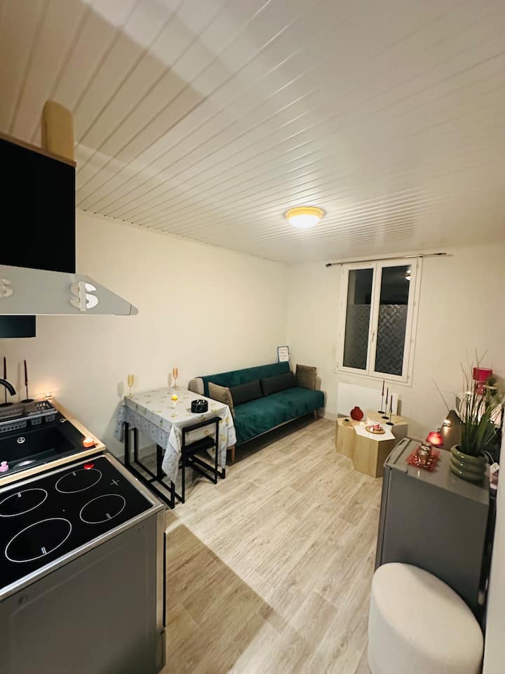 Appartement Avec Grand Jardin - Villeneuve-sur-Lot