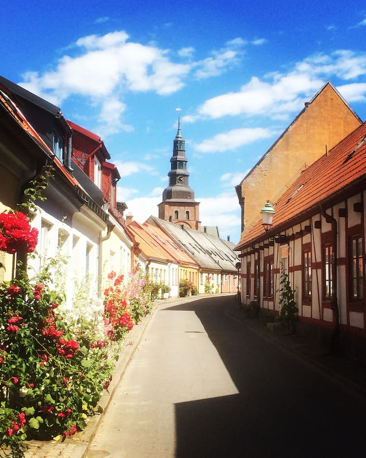 Gatuhus På Mysig Gata I Centrala Ystad - Ystad