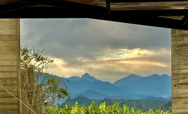 Jardín Experiencias: - Jardín