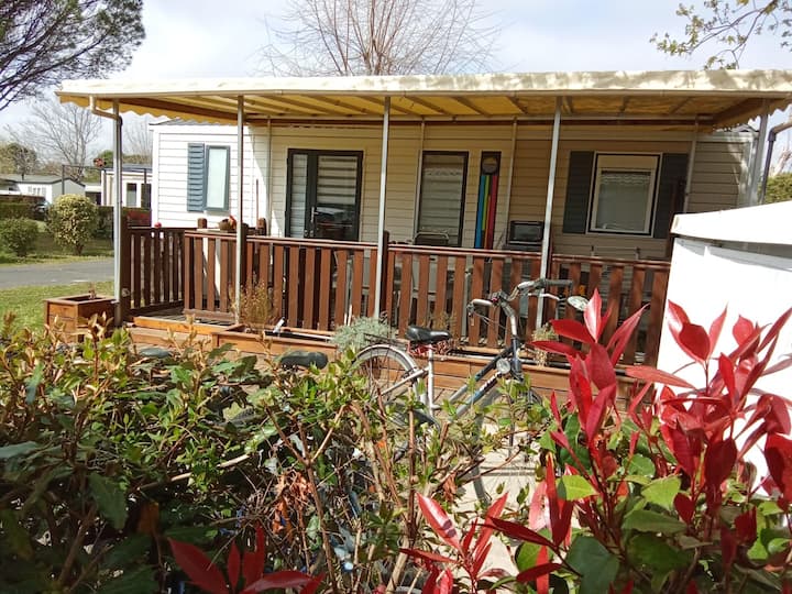 Cottage Confort Climatisé 6p - Sanguinet