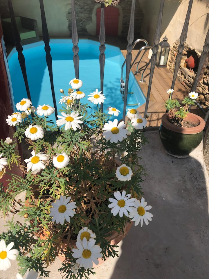 La Maisonde Céleste Quartier Historique Arboré - La Garde-Freinet