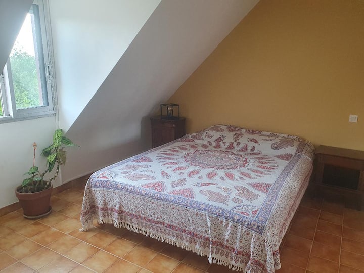 Maison En Bord De Loire - Chalonnes-sur-Loire
