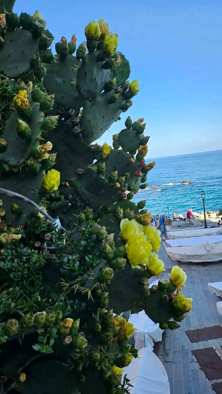 Casa Tsunami - Arenzano